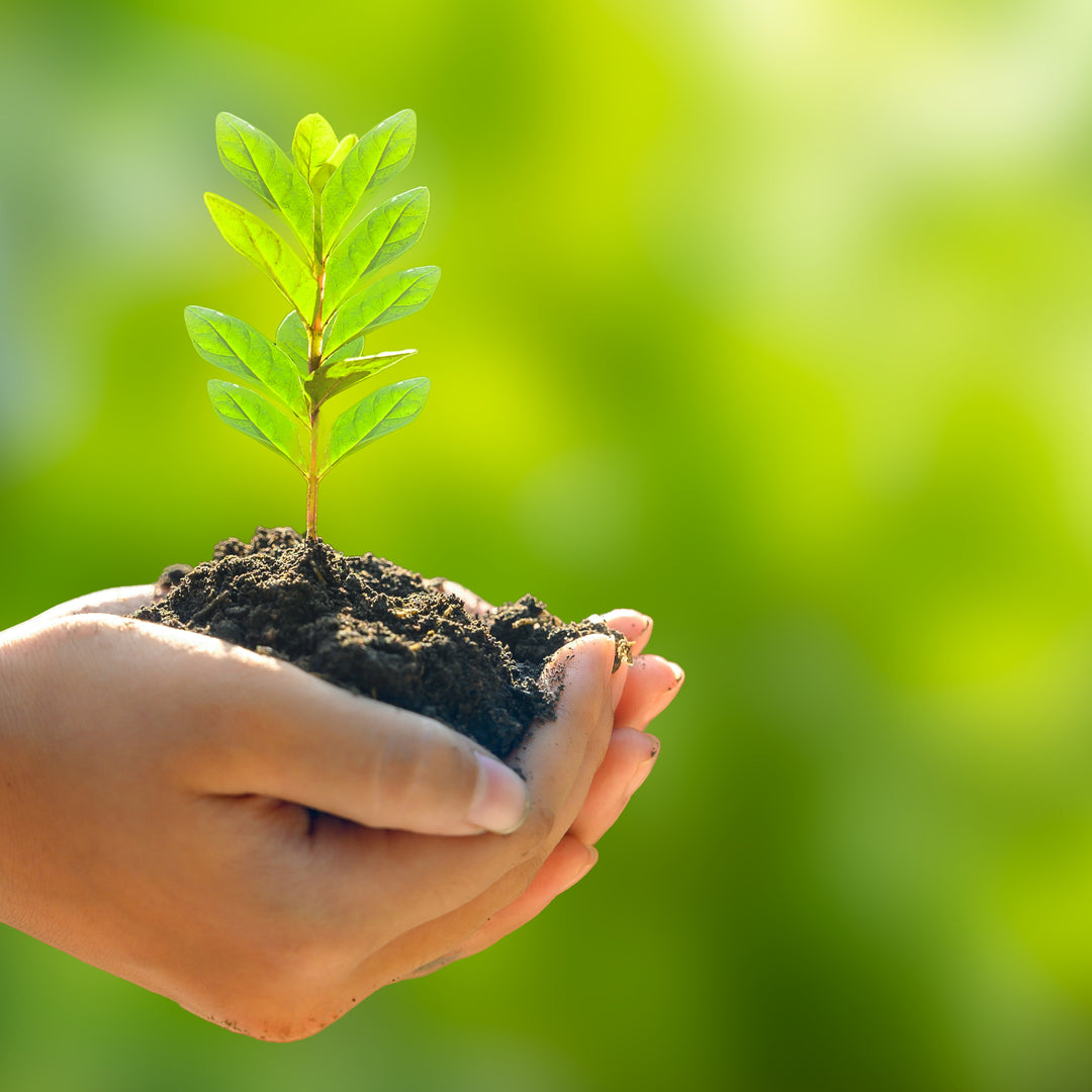 Organic Health Labs® | Loving you, loving the earth!